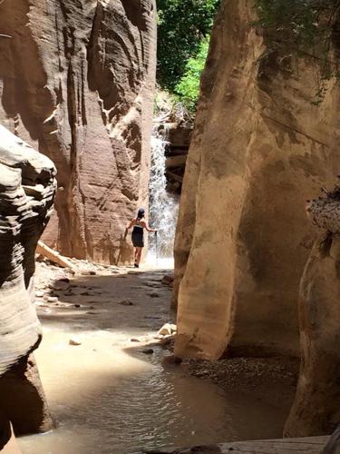 Explore: The Narrows of Zion National Park; top-to-bottom guide ...