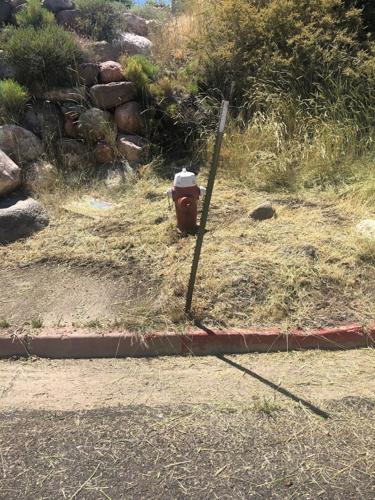Cedar fire officials working to keep hydrants clear of weeds ...