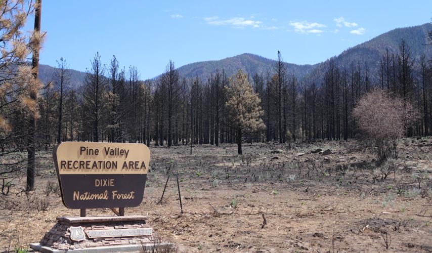 After summer fire causes damage, crews work to repair Pine Valley rec ...