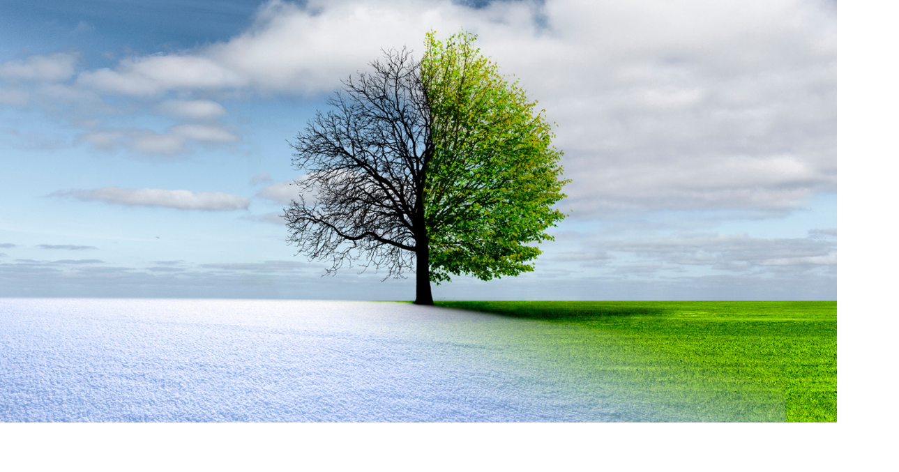 Springtime and renewal: A traditional Chinese medical perspective ...