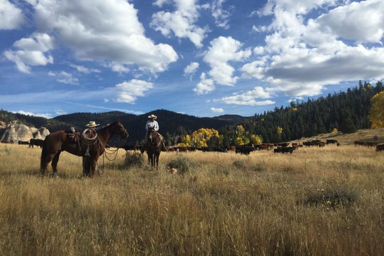 Your local friend in the meat business: Dry Lakes Ranch Beef’s steaks ...