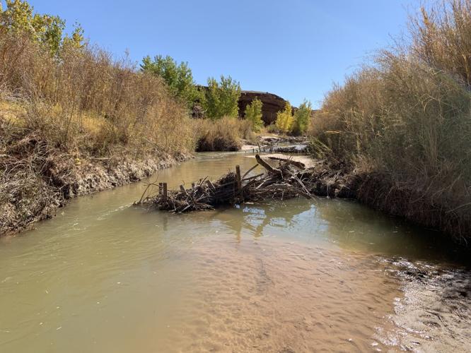 Over 144K acres restored through Utah’s Watershed Restoration ...
