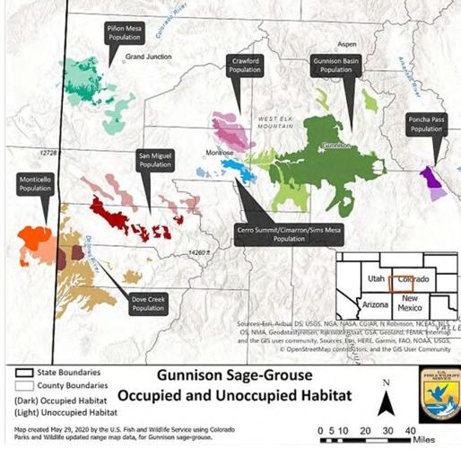 Conservation groups demand more from land managers for Southern Utah ...