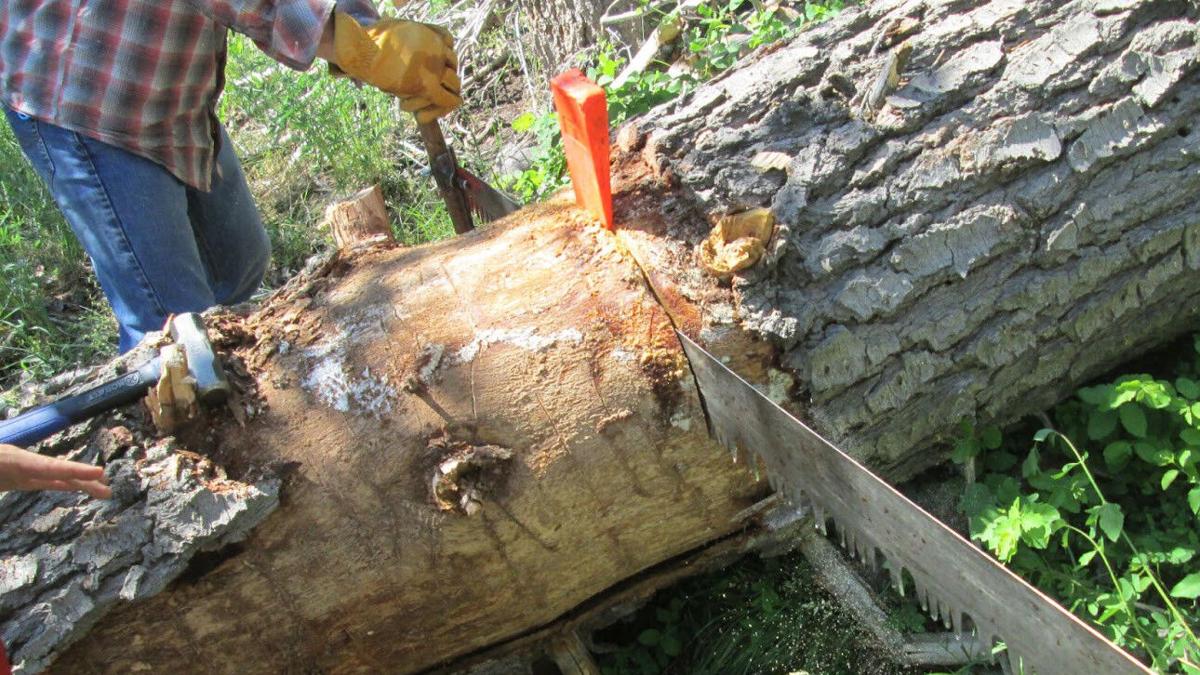 Comprehensive plan signed for scenic trail from Mexico border to Utah ...