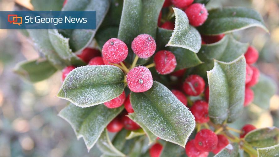 Weather Service issues hard freeze watch for Washington County | Local ...