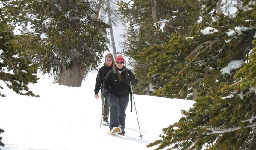 Snowmobile season ends April 27 at Cedar Breaks; snowshoe, cross ...