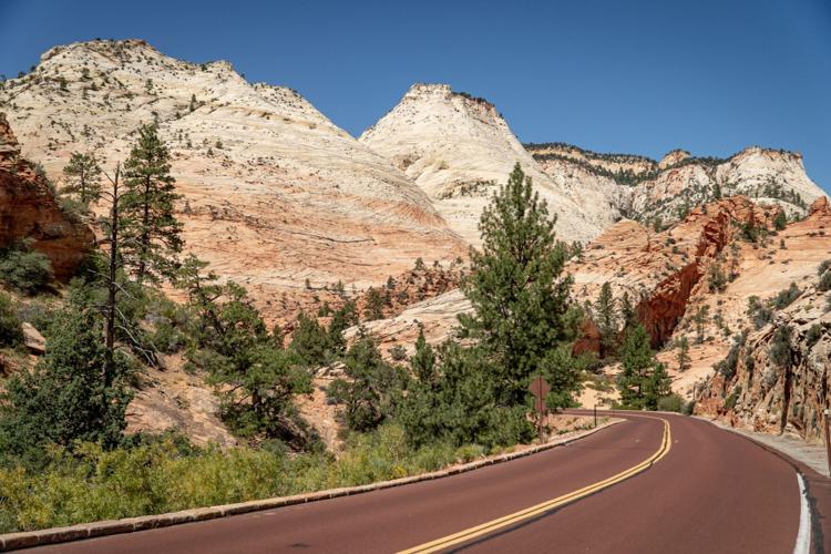 3 new artists are coming to Zion National Park for 2024 Artist-in ...