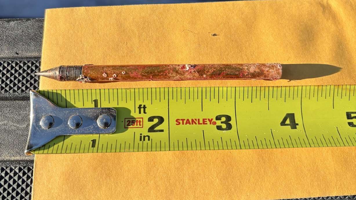 Utah agency investigates buck killed by illegal hunting weapon | News ...
