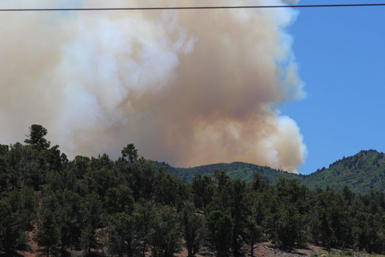 Aspen Fire: Fast-moving flames continue to devour terrain; winds halt ...