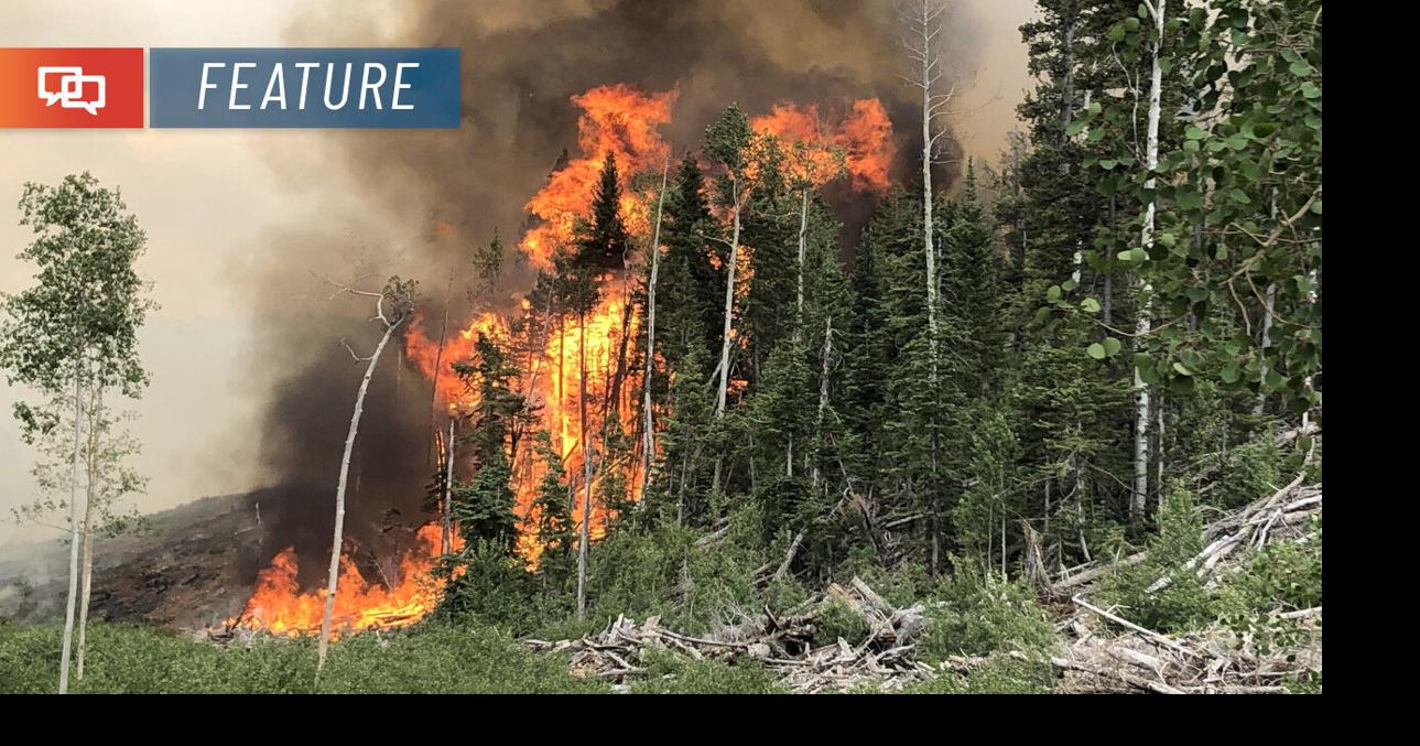 How wildfire smoke can harm human health, even from hundreds of miles ...