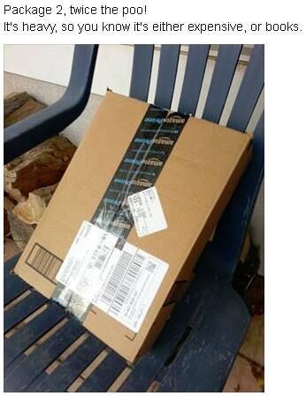 Caught on camera: St. George package thief steals box of poop | Local ...