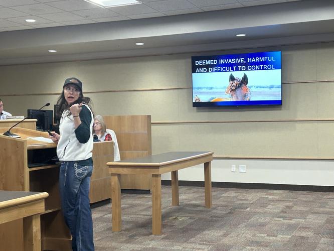 'It takes all of us': What to know about noxious weeds in Iron County ...