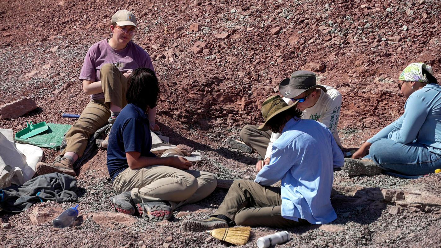 New solution saves St. George quarry that's yielded over 1K 'incredible ...