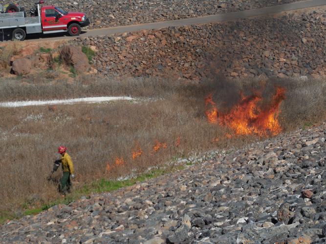 News Short: Santa Clara debris burn fills sky with smoke | News ...