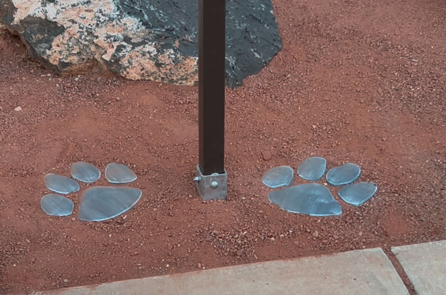 Ivins unveils new tool to help runaway pets find their way home | News ...