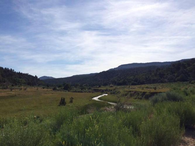 Explore: The Narrows of Zion National Park; top-to-bottom guide ...