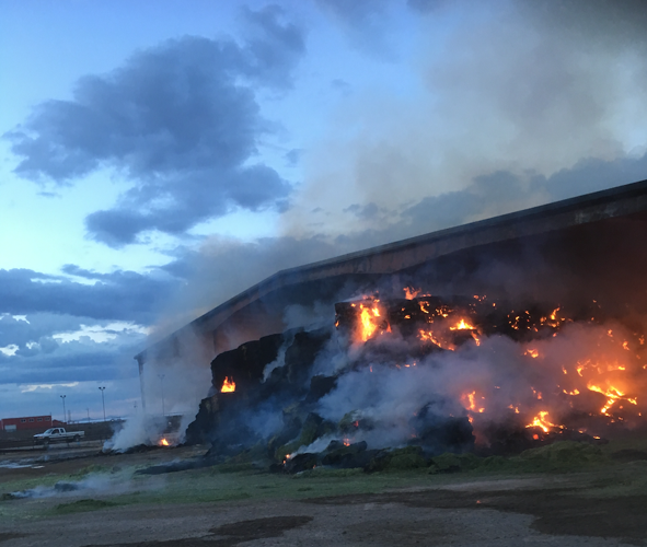 Spontaneously combusting hay causes barn fire at Newcastle dairy farm ...