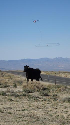 Unraveling the mystery: Strange helicopters spotted soaring across ...