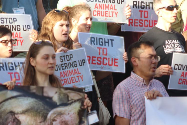 ‘Elevate the message’: Animal rights activists protest in St. George ...