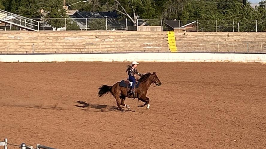 Contestants vie for crown in 90th Dixie Roundup Rodeo Queen and ...