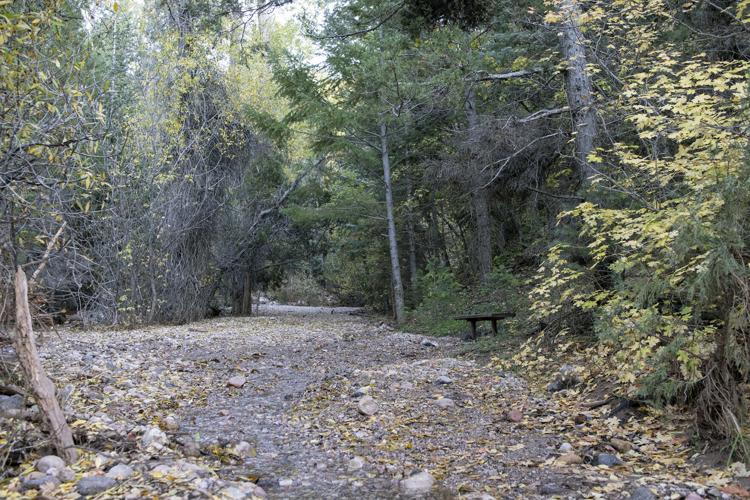 Southern Utah organizations seek to restore popular Parowan Canyon ...