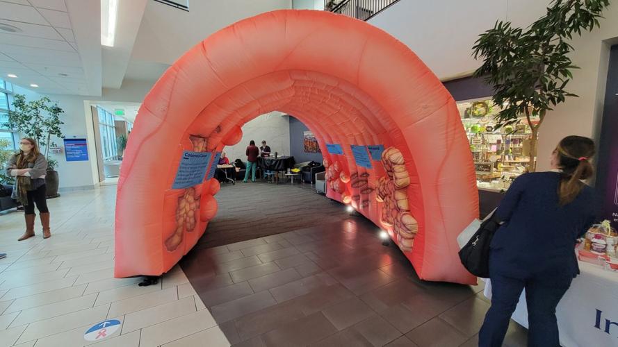 Inflatable colon display traveling through Southern Utah sheds light on ...