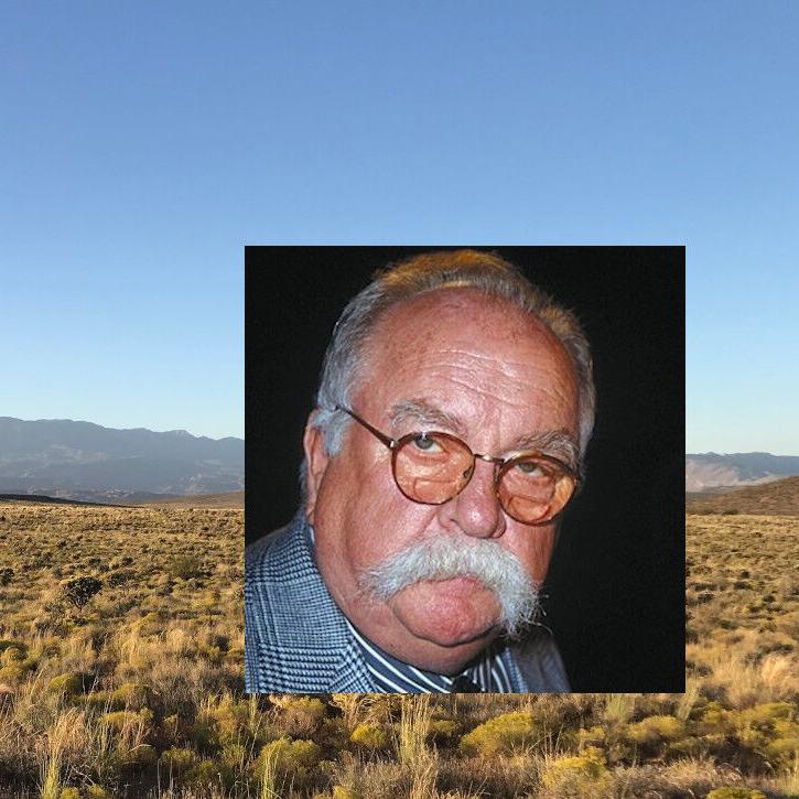 wilford brimley electric horseman