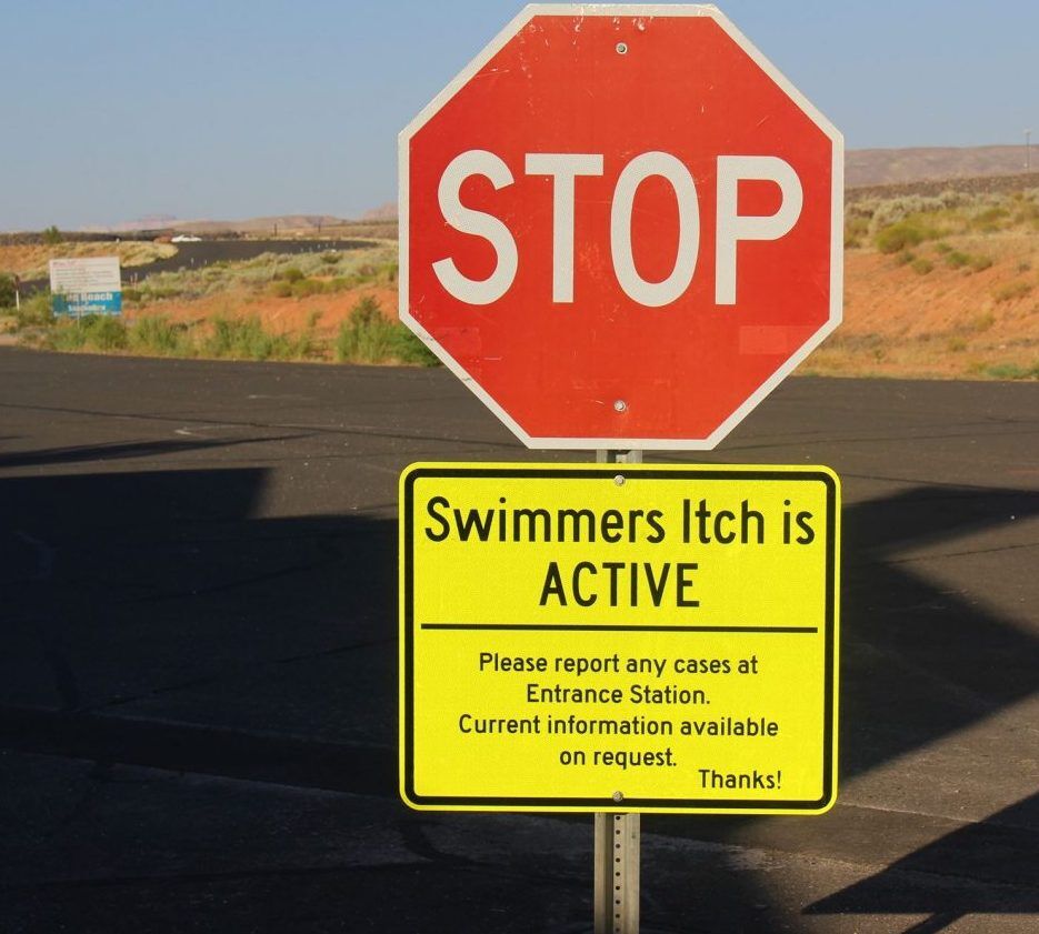 Parasite causing swimmer’s itch returns to Sand Hollow. What can you do ...