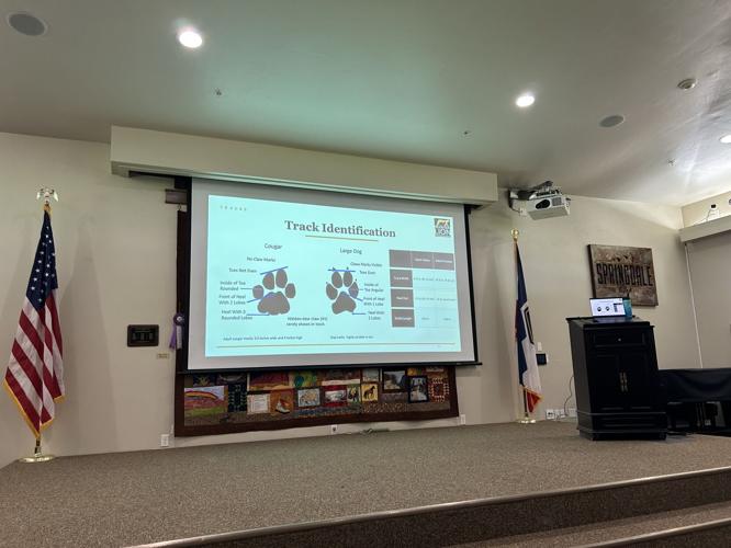 Living with lions: Springdale speaker questions Utah cougar management ...