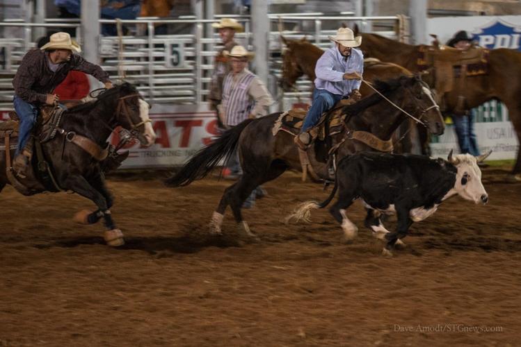 Dixie Roundup opening: ‘Nitro’ Circus, bulls and bikes; STGNews ...