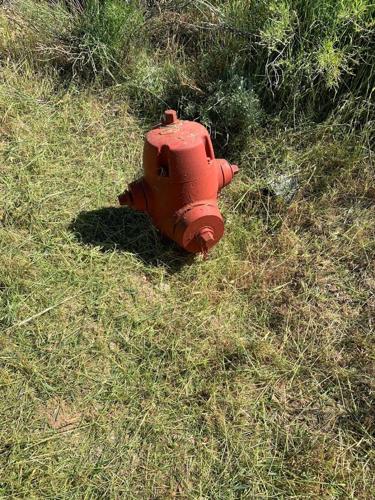 Cedar fire officials working to keep hydrants clear of weeds ...