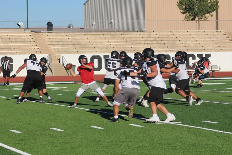 Pine View Panthers hope to taste sweet victory again after unusual ...
