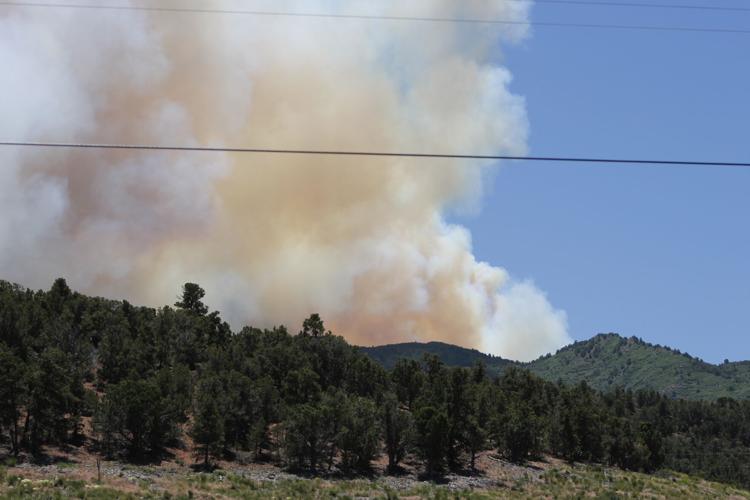 Aspen Fire: Fast-moving flames continue to devour terrain; winds halt ...