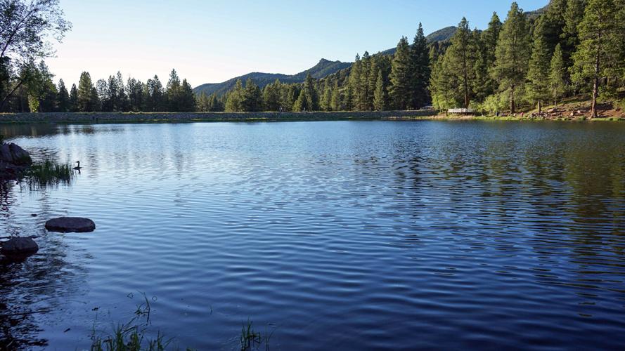 Forest Service names Pine Valley a priority landscape, plans projects ...