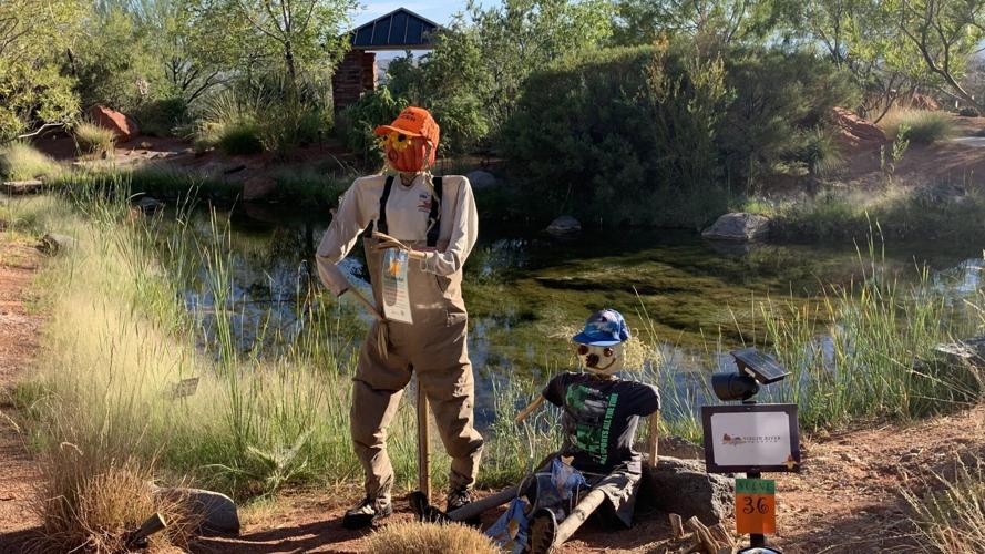 Record crowds creep through Haunted Canyon and Scarecrow Walk in St ...