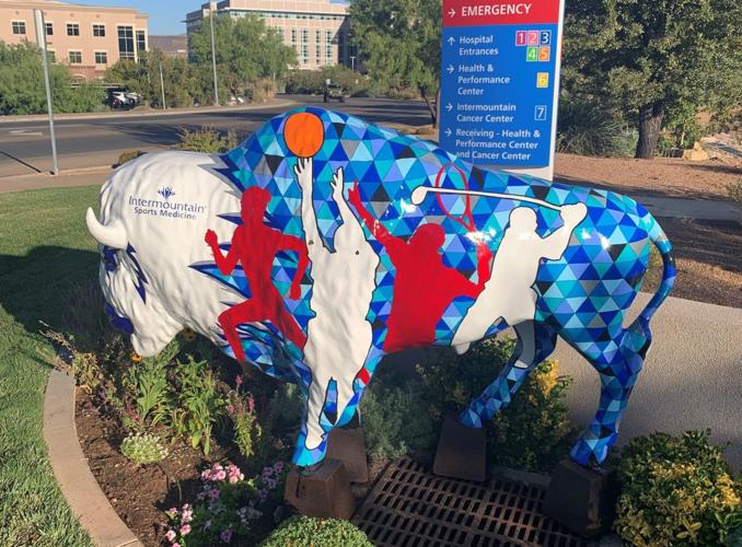 Dixie Regional Medical Center receives bison representing relationship ...
