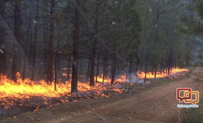 Forest Service performs prescribed burn on 1,200 acre area near Jacob ...