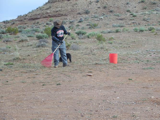 ‘Clean up after yerself’; Desert RATS picks up shooting debris, burn ...