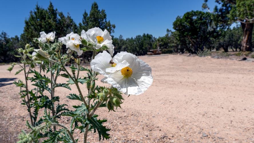 ‘Immensely popular’ Iron County campground to be expanded | Local News ...