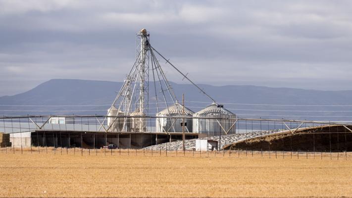 'More profitable with less water': How flexible use helps this Southern ...