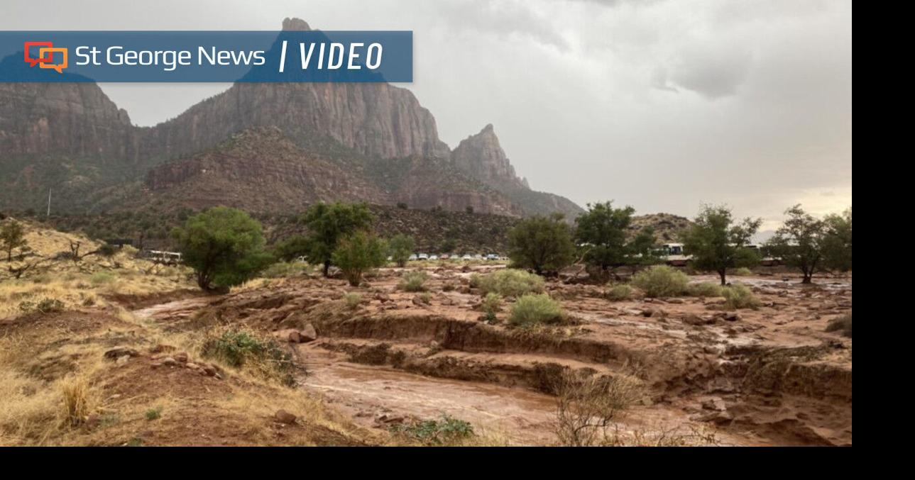 ‘Pulling together for a stranger’: Hikers recall rescuing woman swept ...