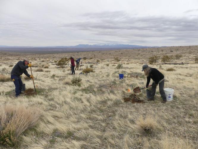 Experience desert critters and biodiversity during Latino Conservation ...