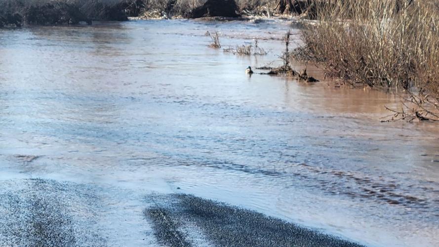Rivers still high but receding as Southern Utah avoids the worst ...