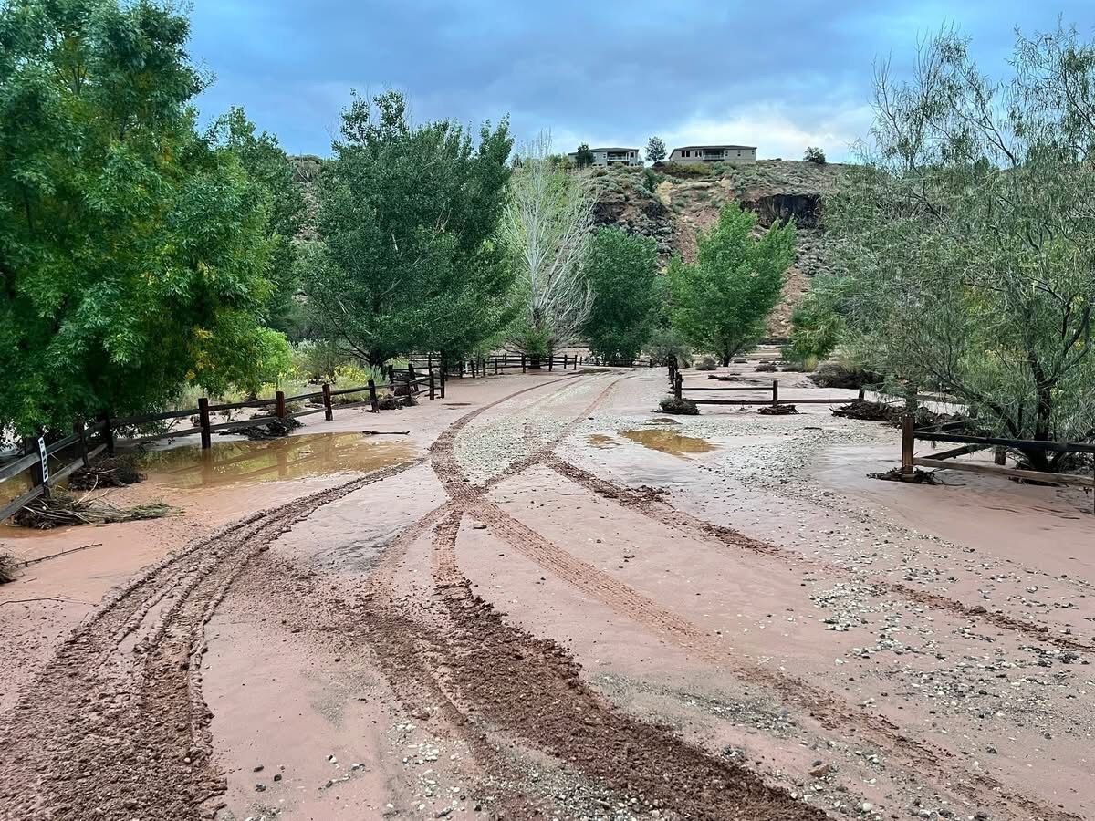 Floodwaters damage homes, temporarily close roads in parts of Southern ...