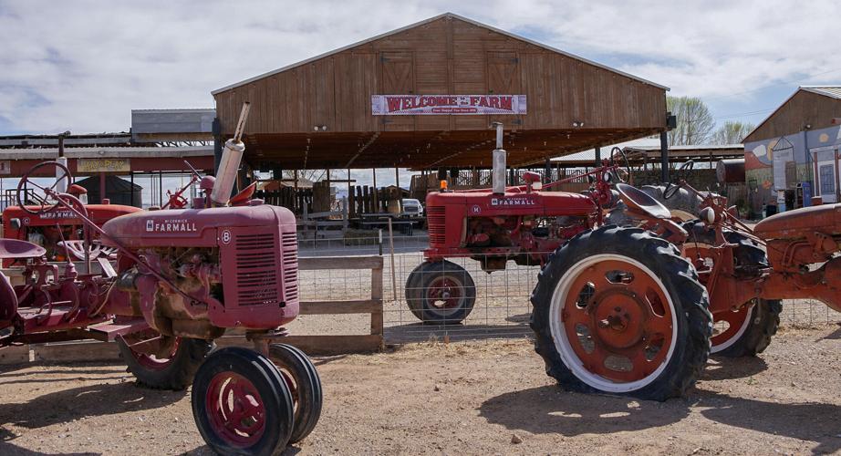 ‘More than just dirt’: Southern Utah farmers discuss modern industry ...