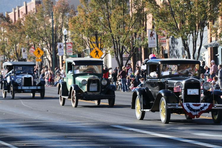 Photo gallery: Hundreds of sheep parade down Main Street at annual ...