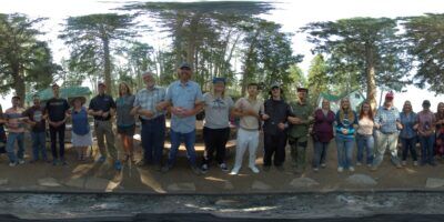 Explore a ‘trembling giant’ from home; Friends of Pando release 360 ...