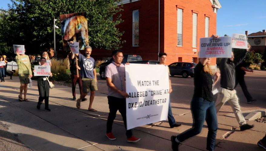 ‘Elevate the message’: Animal rights activists protest in St. George ...