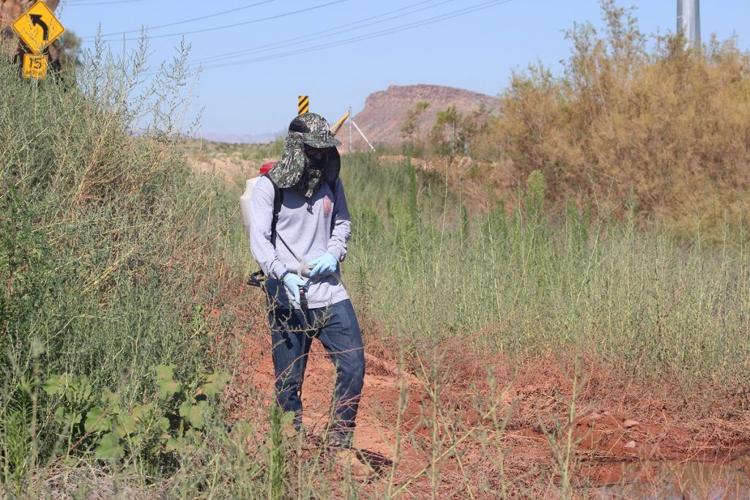 County mosquito crews battle deadliest insect on earth; 1 West Nile ...