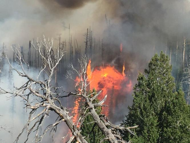 Brian Head Fire grows to over 37,500 acres | Local News | stgeorgeutah.com
